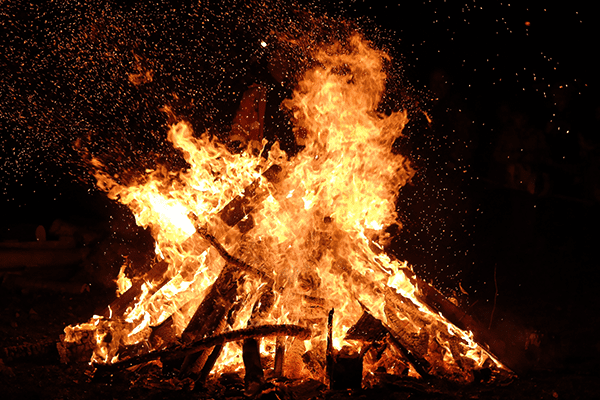 Keeping Wildlife Safe On Bonfire Night - Universal Pallets