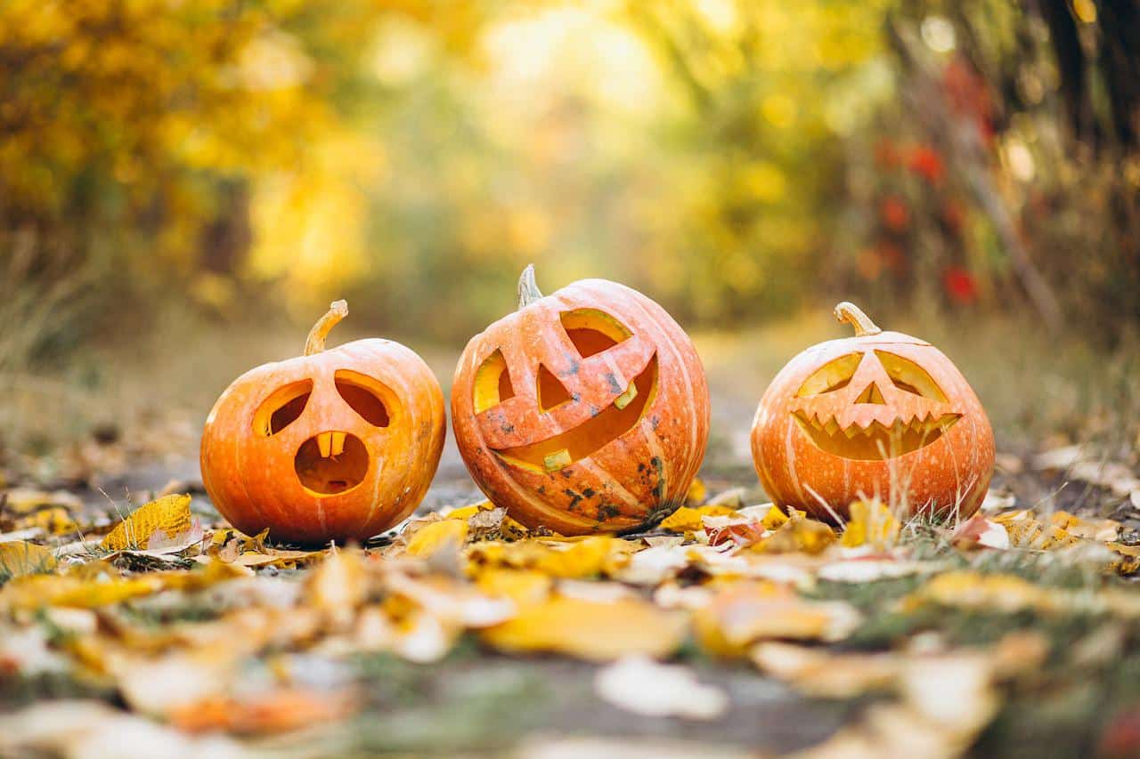 5 Spooky Halloween Pallet Projects - Universal Pallets